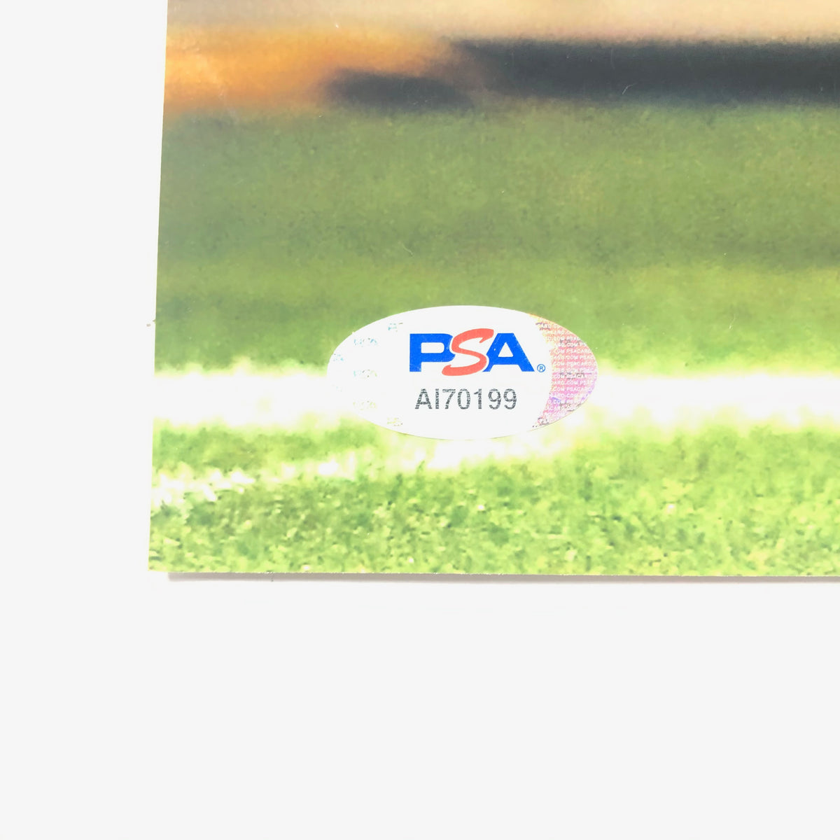 Tim Jennings signed 11x14 Photo PSA/DNA Indianapolis Colts Autographed ...